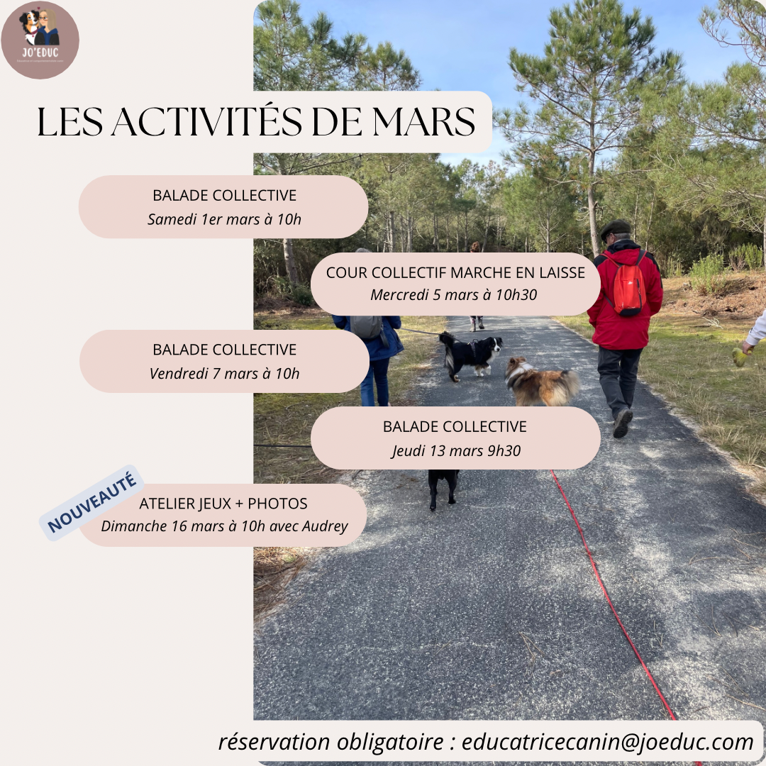Planning des activités - JO'EDUC - balades collectives